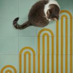 Maison Bahya Creations